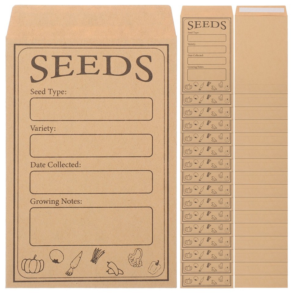 50Pcs Sealing Envelopes Packets Paper Coins Packets | eBay Australia