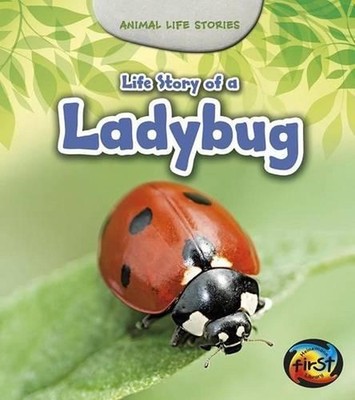 Animal Life Stories Life Story of a Ladybug by Charlotte Guillain ...