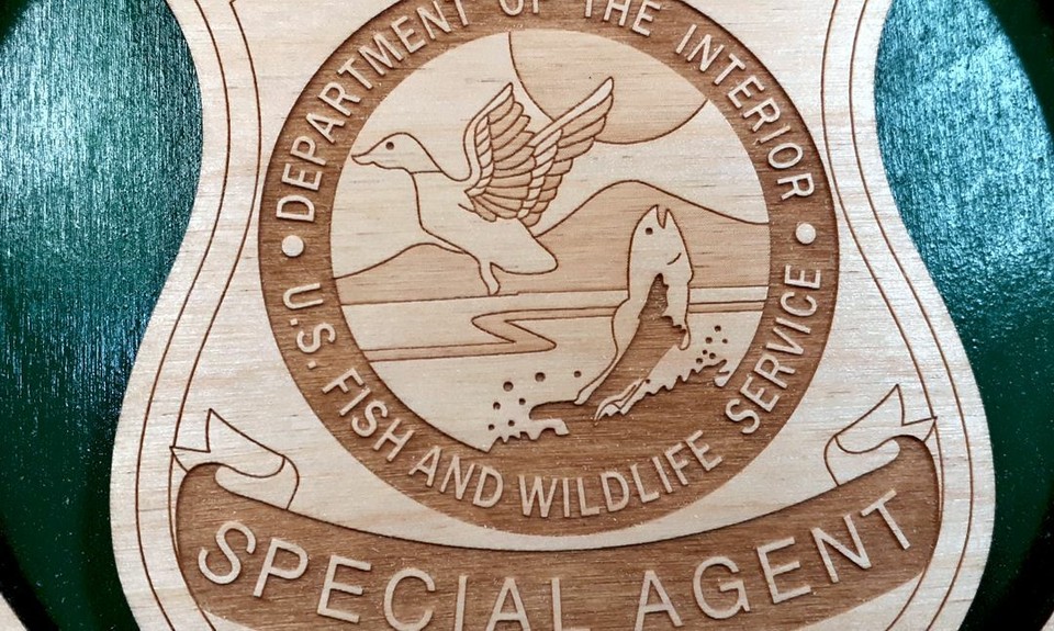 US FISH AND WILDLIFE (USFWS) SPECIAL AGENT BADGE | eBay