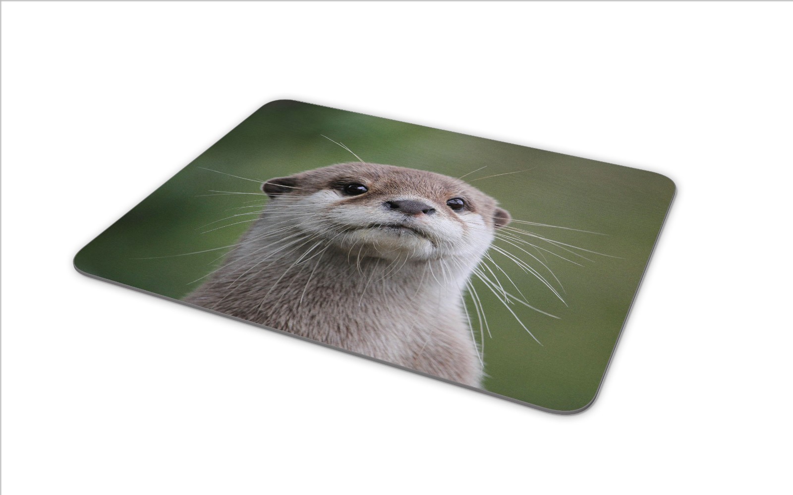 Cheeky Otter Mouse Mat Pad - Cute Wild Animal Sea River Fun Computer ...