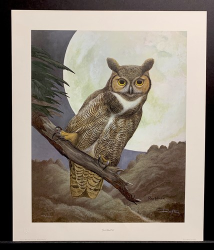 Ray Harm Limited Edition Hand Signed Print "Great Horned Owl” (Moon) | eBay