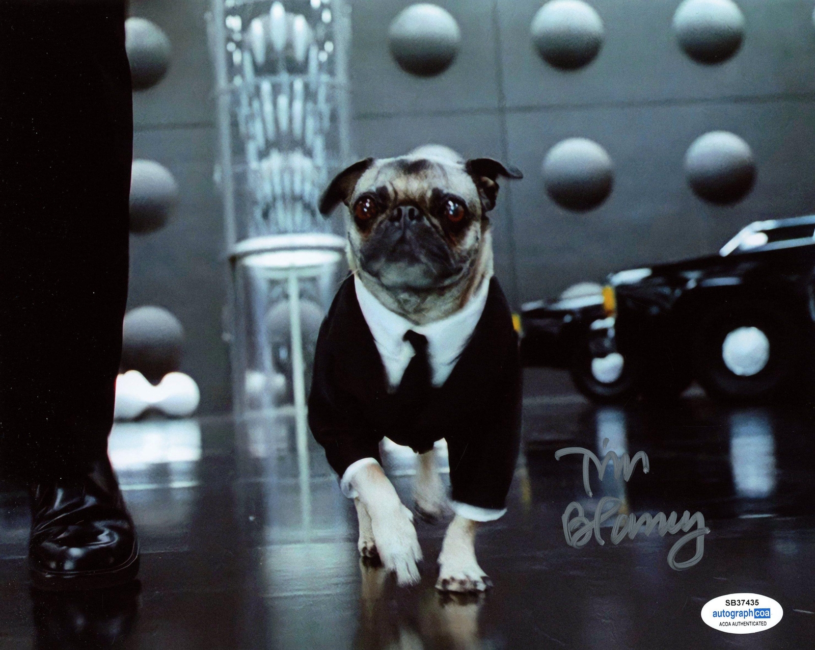 Tim Blaney "Men in Black" AUTOGRAPH Signed 'Frank the Pug' 8x10 Photo E ...