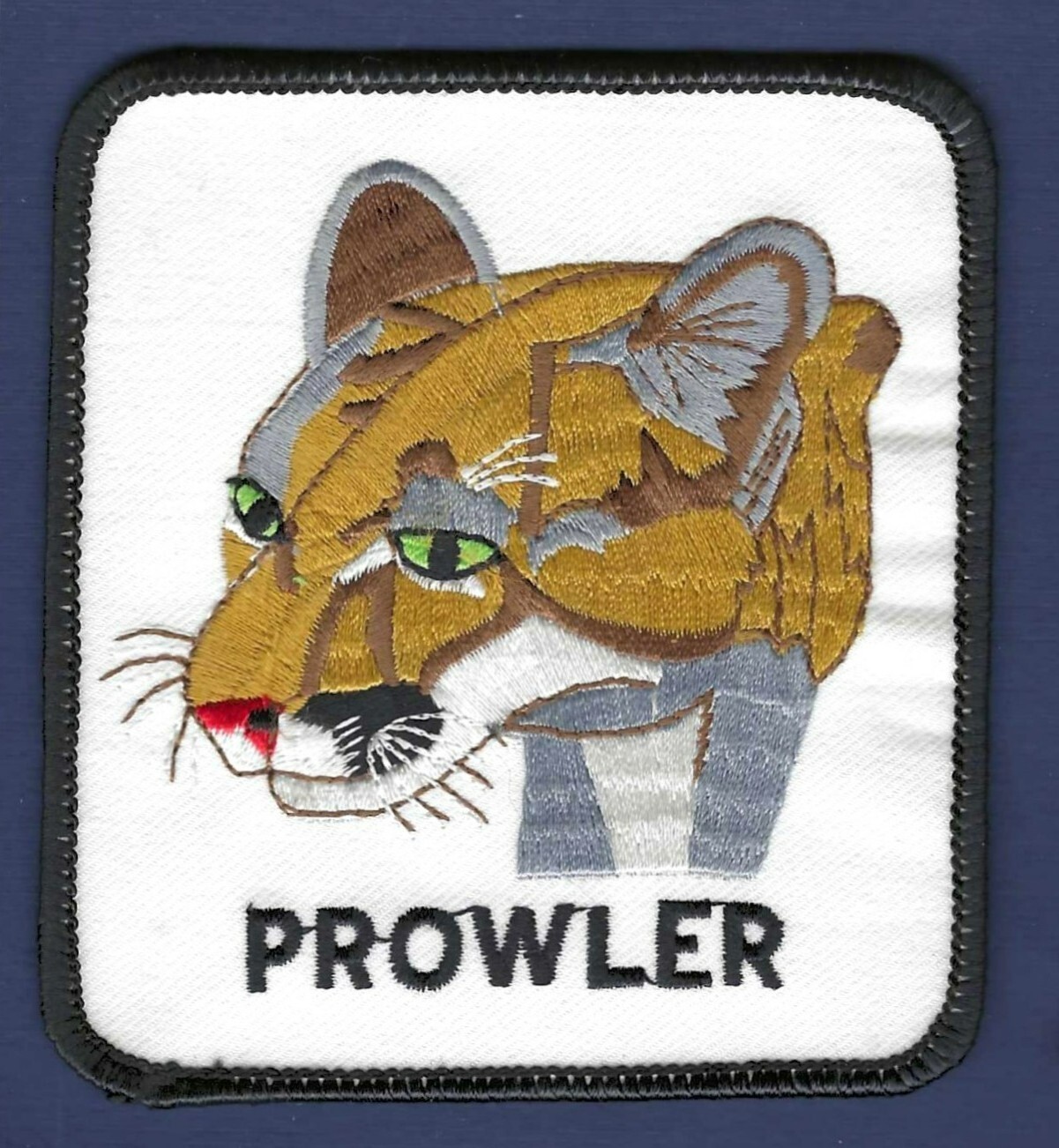 US Navy Grumman EA-6B Prowler Electronic Attack Aircraft Patch | eBay