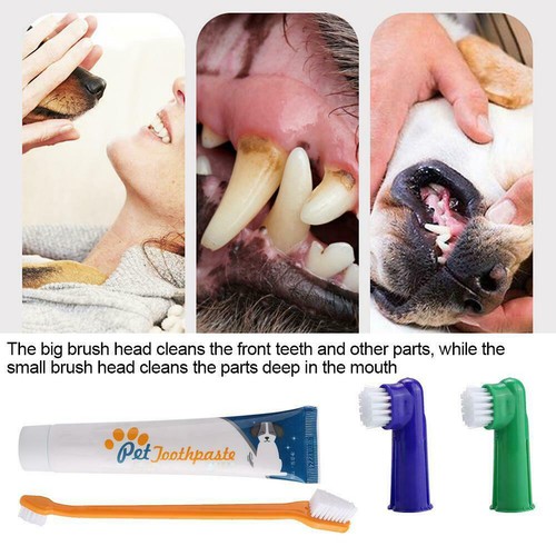 Pet Dog Cat Cleaning Toothpaste+ Toothbrush+ Back Up Brush Set Beef ...