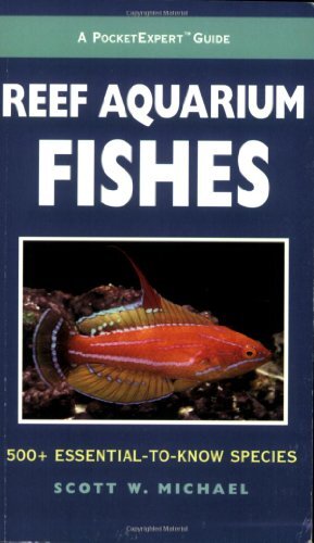 A POCKETEXPERT GUIDE TO REEF AQUARIUM FISHES: 500+ By Scott W. Michael ...