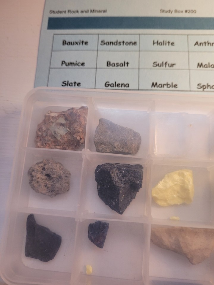 Colorful Rocks Mineral Sample Chart for Beginners Students (15) | eBay