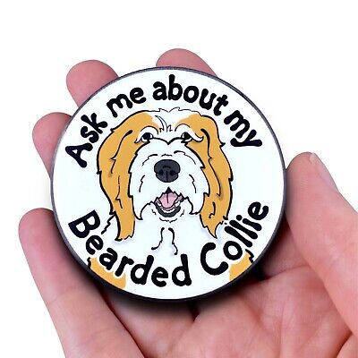 Bearded Collie Dog Pinback Button Pin Accessories 2.25" - Fawn & White ...