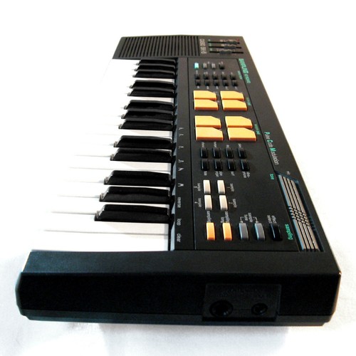 CASIO SK-5 + CASIO SK-10 PCM (Pulse Code Modulation) Sampling Keyboard ...