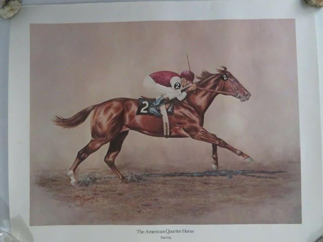 The American Quarter Horse Racing 1970 Randy Steffen Equine Equestrian ...