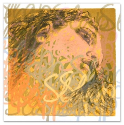 Evah Pirazzi Slap Orchestra Bass E String 3/4 Chrome Wound | eBay