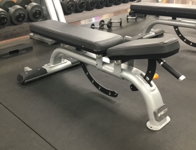 Precor | Discovery Series Multi-Adjustable Bench | eBay