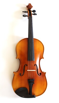 Beautiful High Quality 16-inch Viola with Case, Bow, Rosin. ZJVOL16-01 ...
