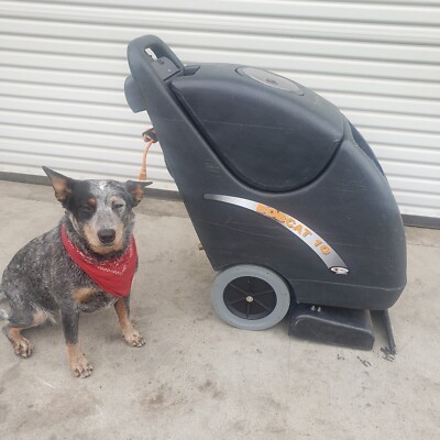 Triple S brush carpet cleaner/extractor, Bobcat 10, New vac motor, 100 ...