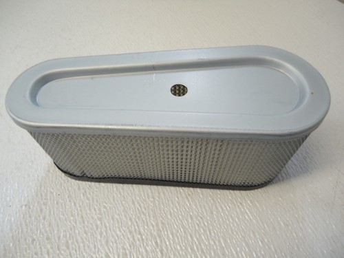 NEW Air Filter for Briggs & Stratton 12.5hp 15hp 493909 496894 | eBay