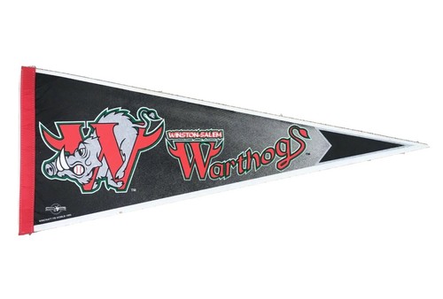 Carolina League Winston-Salem Warthogs Vintage 1995 Team Logo Baseball ...