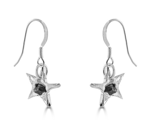 Solid Silver Star Meteorite Earrings - With A Centre Of Real Iron ...