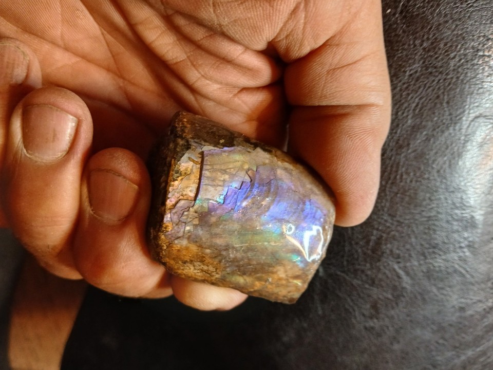 Rare Deeply Colored/Baculite/Ammolite/opalized Brilliant/iridescent/gem ...