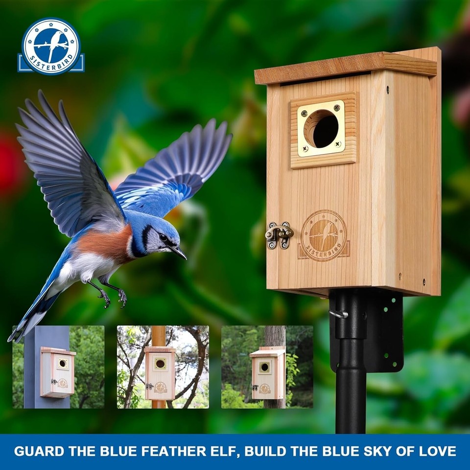 Bluebird Nesting Box with Copper Guard - Durable Cedar Bird House for ...