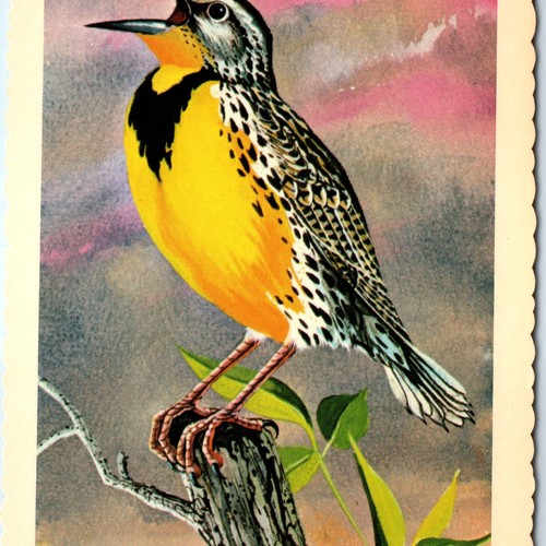 1966 ND North Dakota State Bird Western Meadow Lark Ken Haag Painted ...