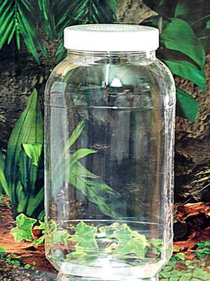 Empty Plastic Jars With Lids Ideal for Insect Housing ( Add your own ...