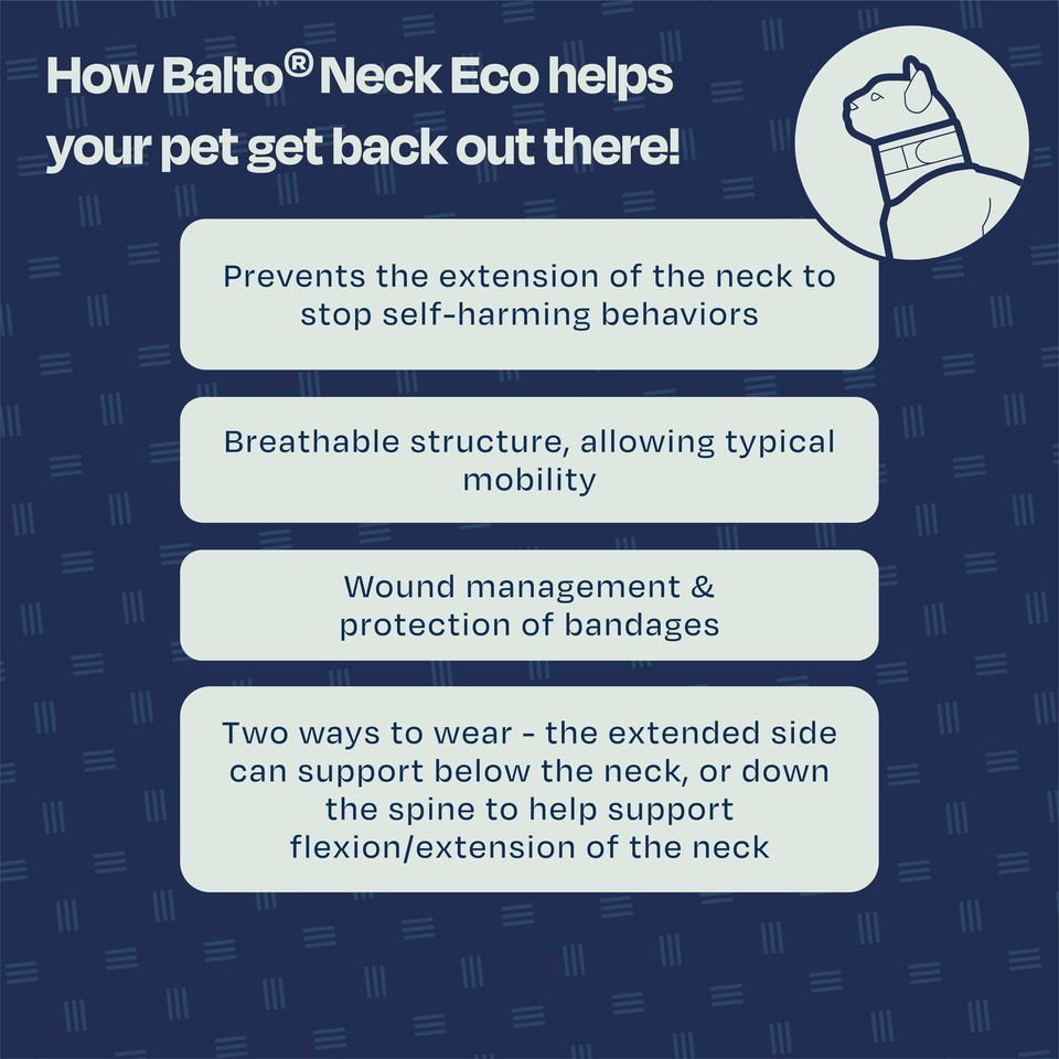 Neck Eco E-Collar Alternative – Feline Recovery Collar – Padded Cat ...