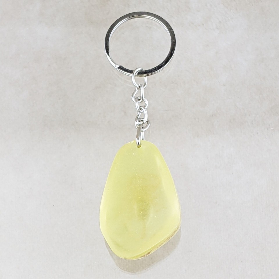 CSc1 Resin real Taxidermy Striped Bark scorpion Key Chain curiosities ...