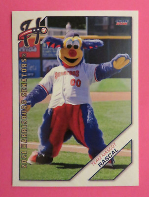 2021 Choice, Harrisburg Senators, Mascot - RASCAL | eBay