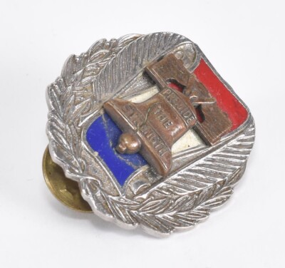 US Army Recruiting Command Provide the Strength Insignia DI Crest Lapel ...