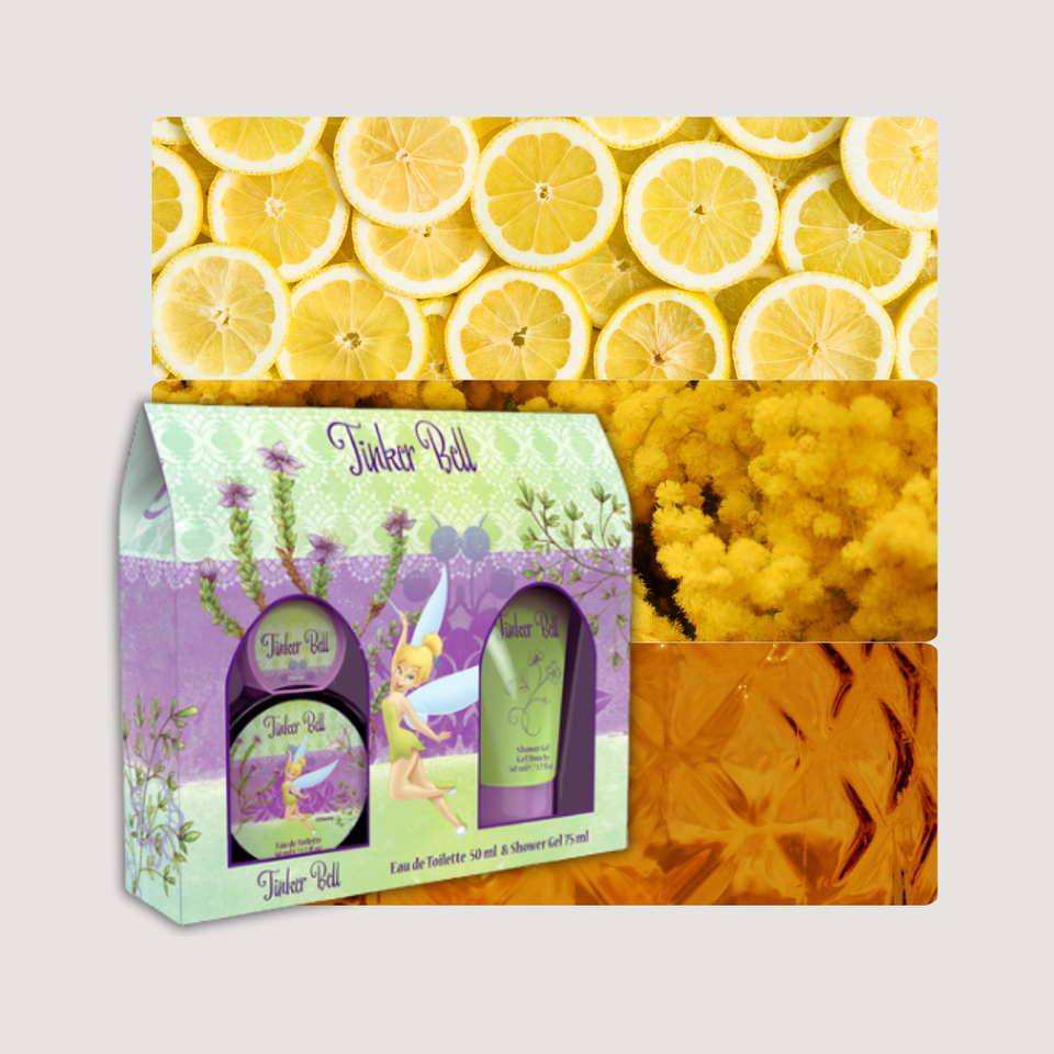 Disney Tinkerbell 2pc Fragrance Set for Girl 1.7 oz EDT & Shower Gel ...