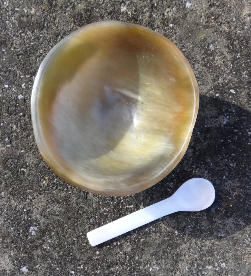 Natural Carved Bovine Horn Open Salt Dip, Cellar, Dish w/Shell Spoon ...