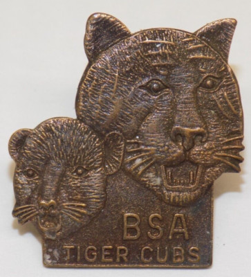 BSA Boy Scout Tiger Cub Metal Pin Jamboree Summer Camp 1" Tall | eBay