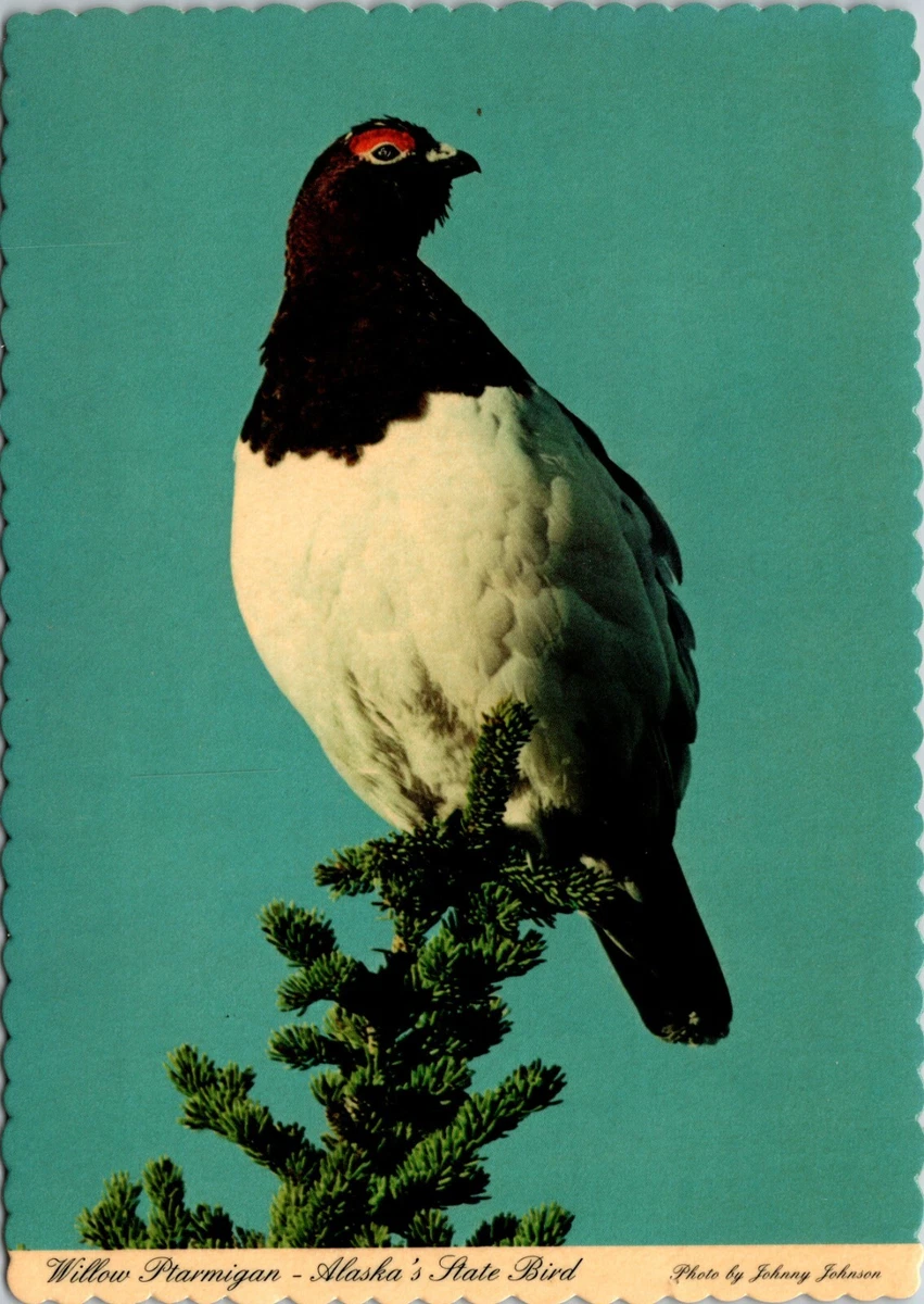 Willow Ptarmigan Sound