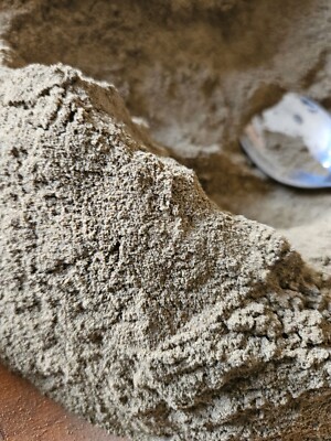 African Sausage Munvee Powder/ Kigelia Africana ZIMBABWE 50g (Bark ...