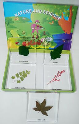 5 Plant Leaf Specimen Box Set B Clear Square Resin Block Learning Aid ...