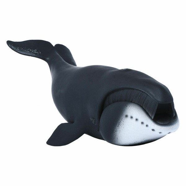 Collecta 88652 Bowhead Whale Replica Figure Toy - for sale online | eBay