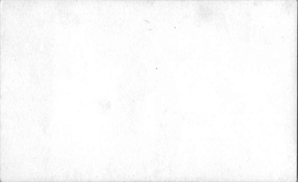 Beautiful Bohemian Flapper Woman Gentleman Walking on Beach 1920s ...