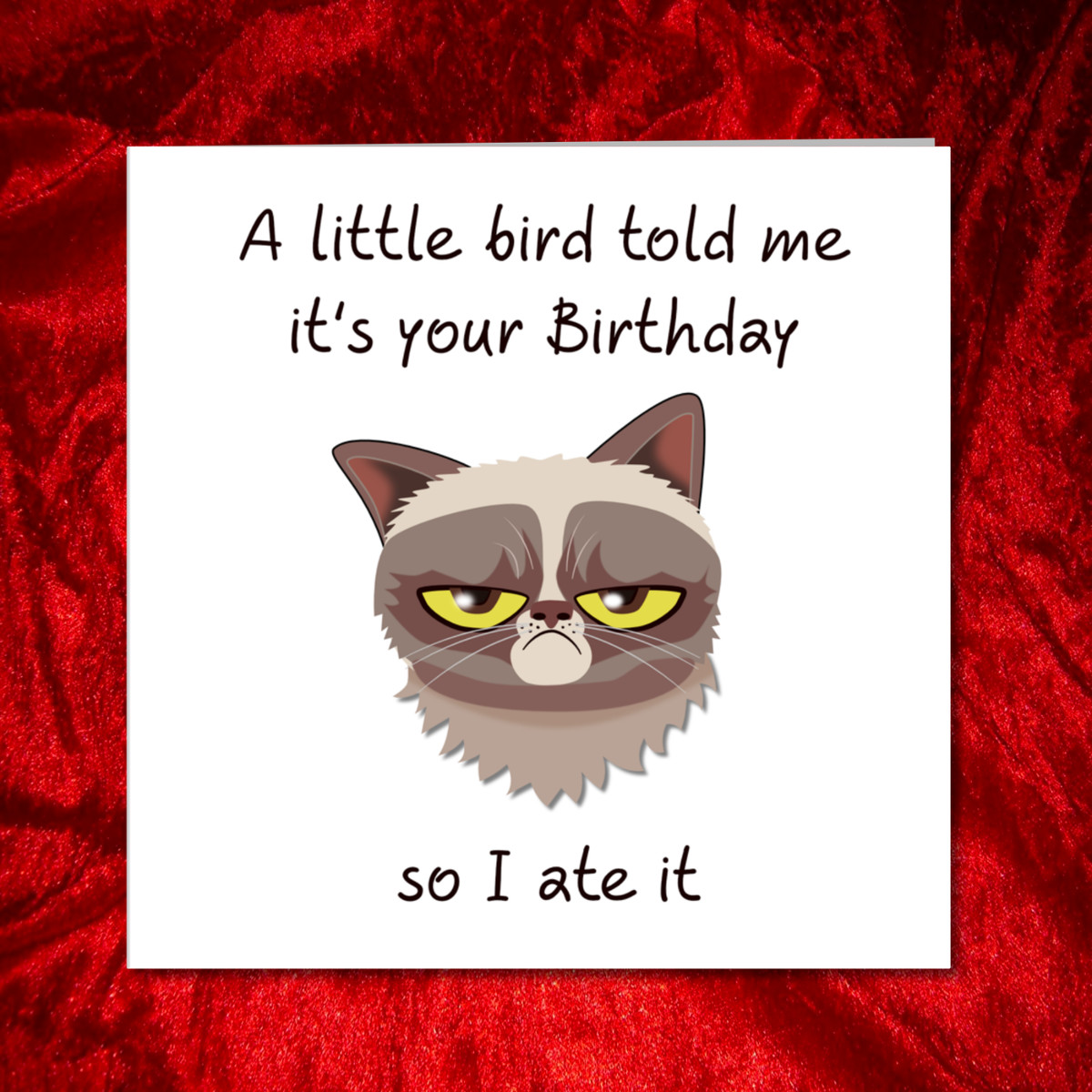 Grumpy Cat My Birthday Meme