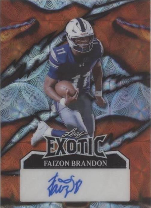 2024 Leaf Eclectic - Exotic Faizon Brandon #E-FB1 Clown Fish ...