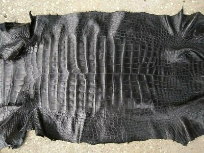 Genuine Wild American Alligator leather Swamp Skin Gator Hide Blk Mount ...