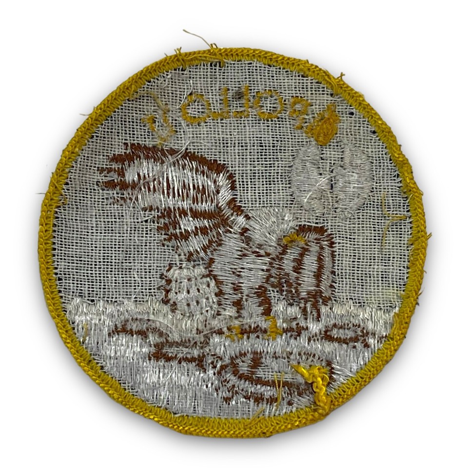 Vintage Apollo 11 Eagle in Space Moon Patch Astronaut NASA | eBay