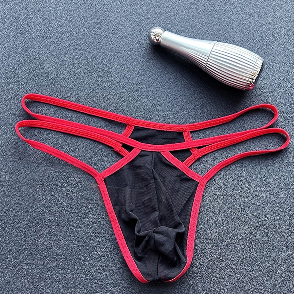 Stylish Men's Lingerie Underwear with Mesh Panels Low Waist Briefs ...