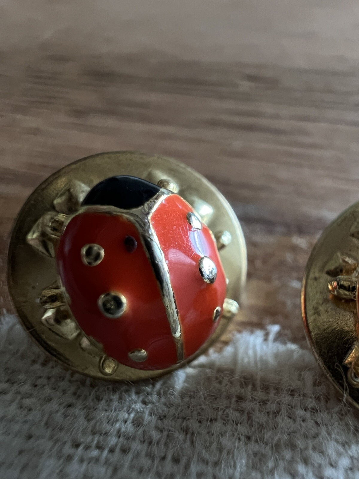Vintage Enamel Rhinestone Ladybug Brooch Pin Set 2 Gem
