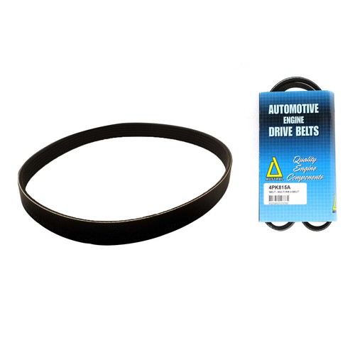 Power Steering Belt 4PK815 for Nissan Pathfinder R51 2.5L Turbo Diesel ...
