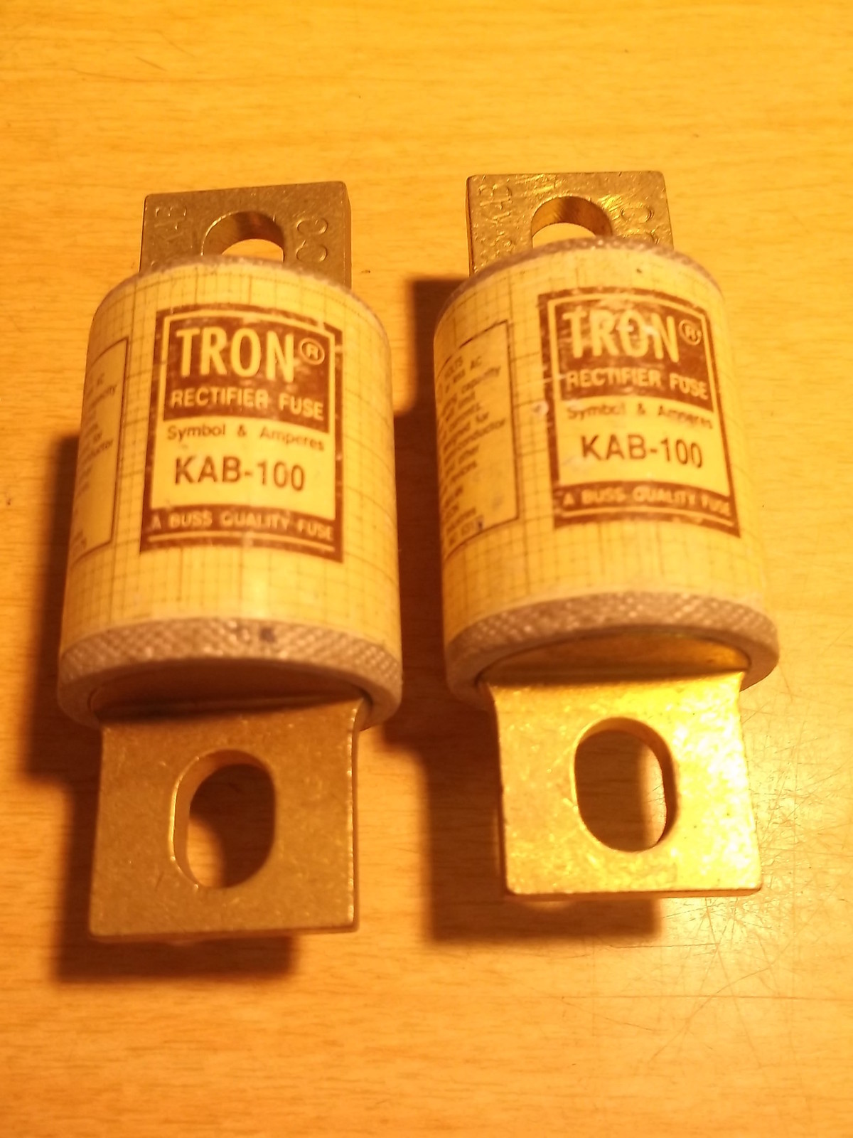 Fuse: Tron KAB-100 Rectifier Fuse 100A, Lot of 2 *FREE SHIPPING* | eBay