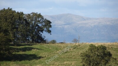 Photo 6x4 Hilltop pasture, Snabhead Standburn/NS9274 Trees and grass ...
