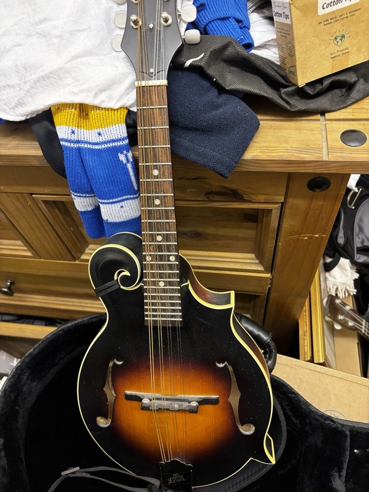 THE LOAR Mandolin | eBay UK