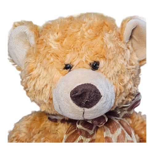 Fiesta Bear Orange Rust Colored Shaggy 11" Stuffed Animal Ribbon CLEAN ...
