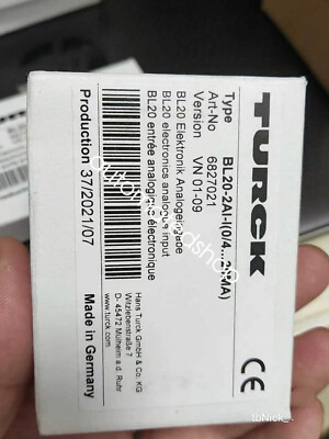 1PC New TURCK BL20-2AI-I(0/4...20MA) Module DHL Expedited Ship | eBay