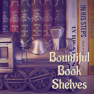 Bountiful Book Shelves | eBay Stores