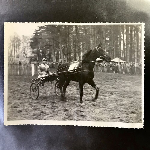 Photo Cheval Trotteur De Robert De Rozycki Course Hippique Horse Racing ...